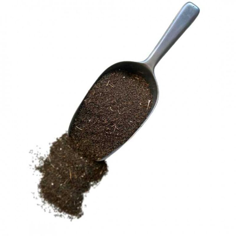 La Khella: botanique, bienfaits et utilisation en phytothérapie ...