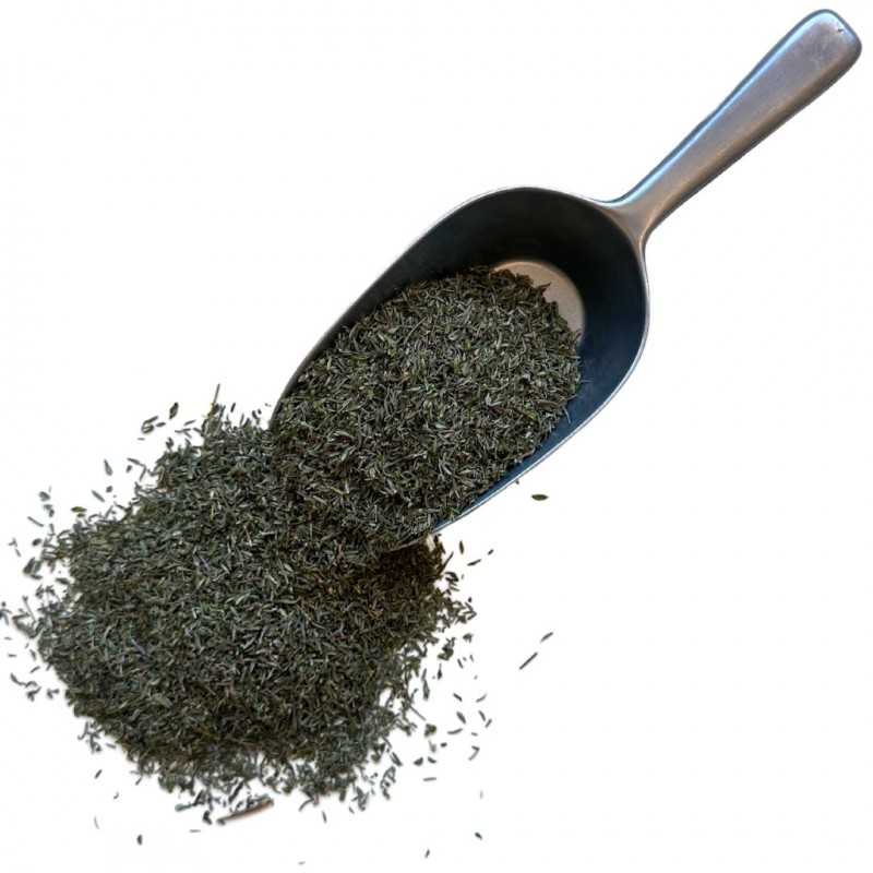 Le Thym de Provence: bienfaits et utilisation – Conseils santé au naturel